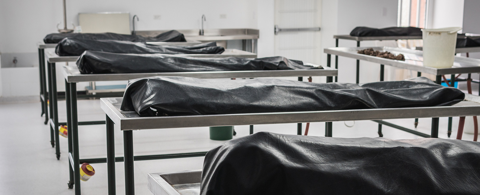 Clinical Forensic & Legal Medicine Section | The Royal Society of Medicine