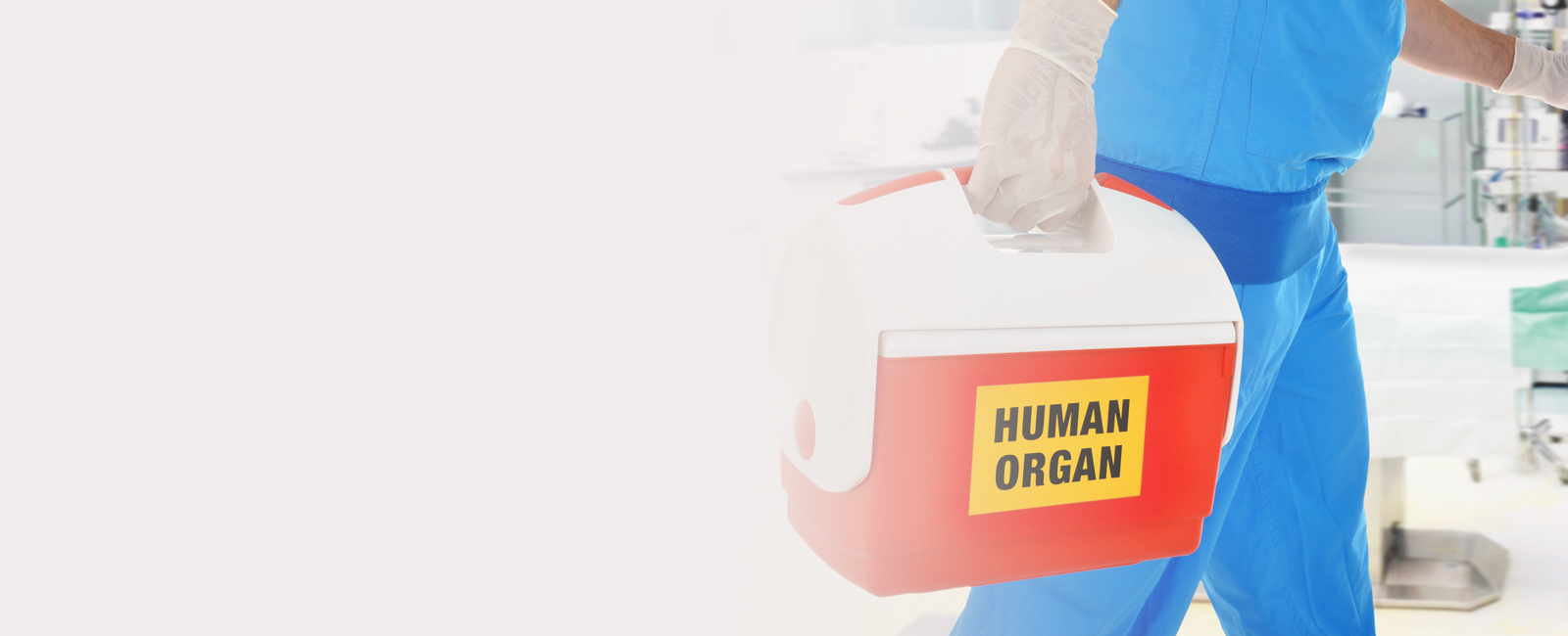 Clinical Forensic & Legal Medicine Section | The Royal Society of Medicine